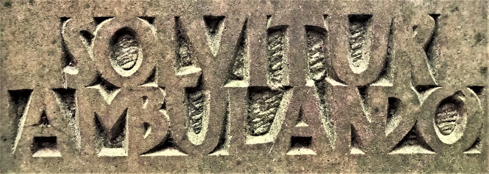 Bits and Bobs: Solvitur Ambulando, David Tennant with Tchaikovsky’s ...